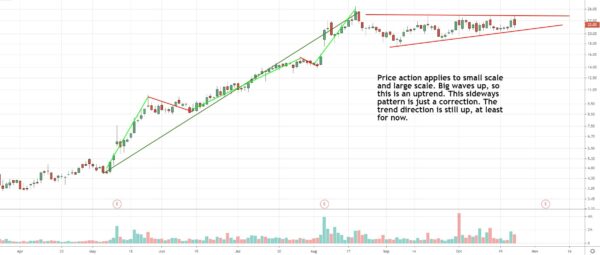 How to Spot Trends and Trend Reversals Using Price Action - Trade That ...